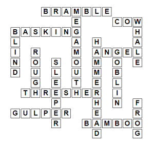 Children's Puzzle Page Solutions