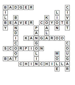 Children's Puzzle Page Solutions